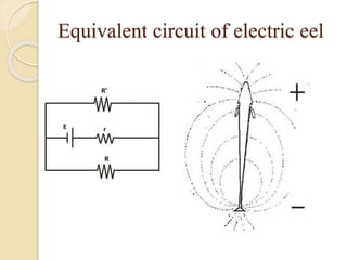 Sustainable electric energy micro generation system based on electric | PPT