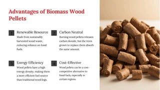 Sustainable Energy Solutions with Premium Biomass Wood Pellets.pdf