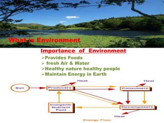 SUSTAINABLE ENVIRONMENT | PPTX