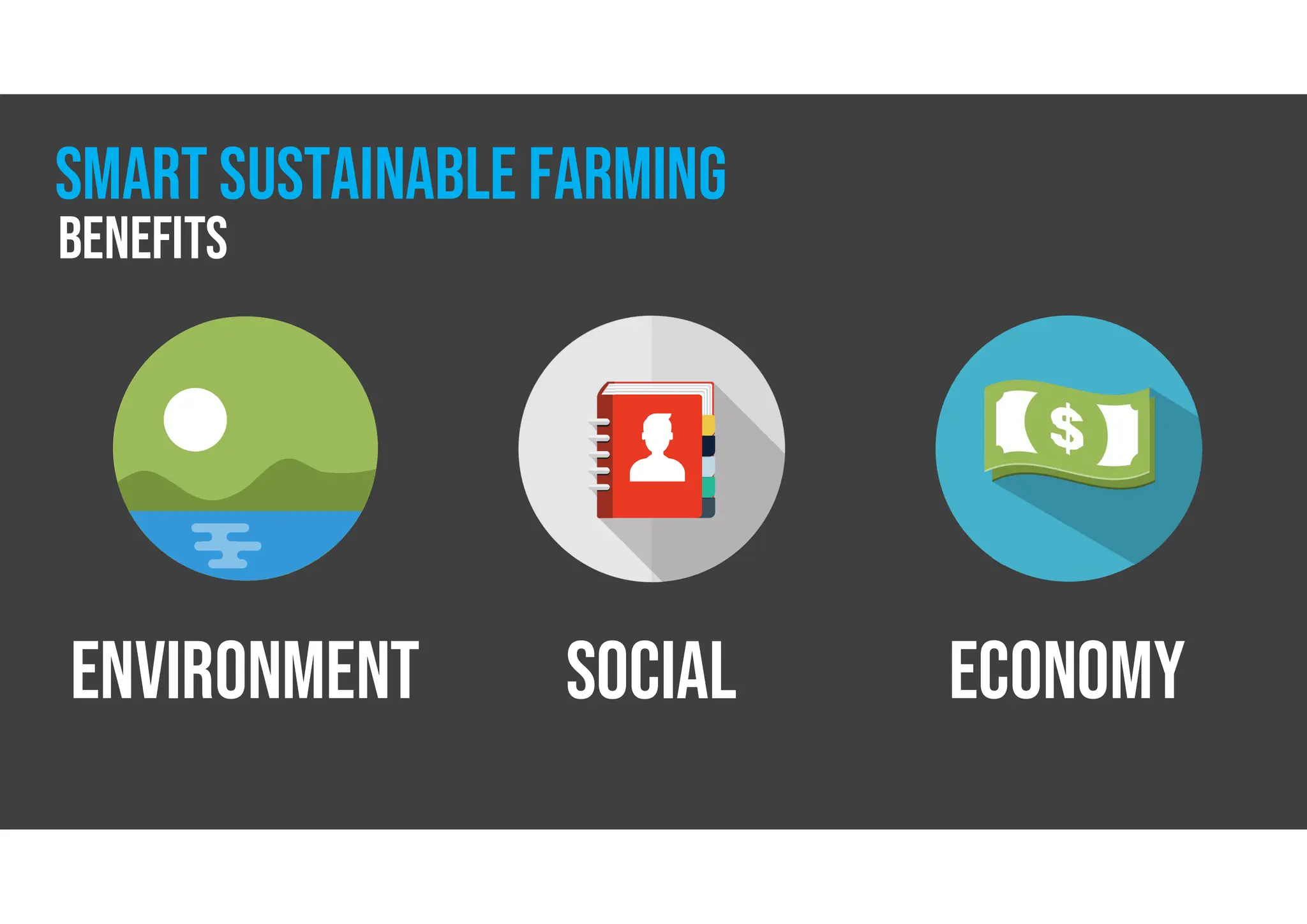 Sustainable Farms | PPT