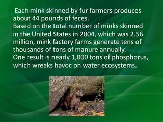 Sustainable Fashion | PPTX