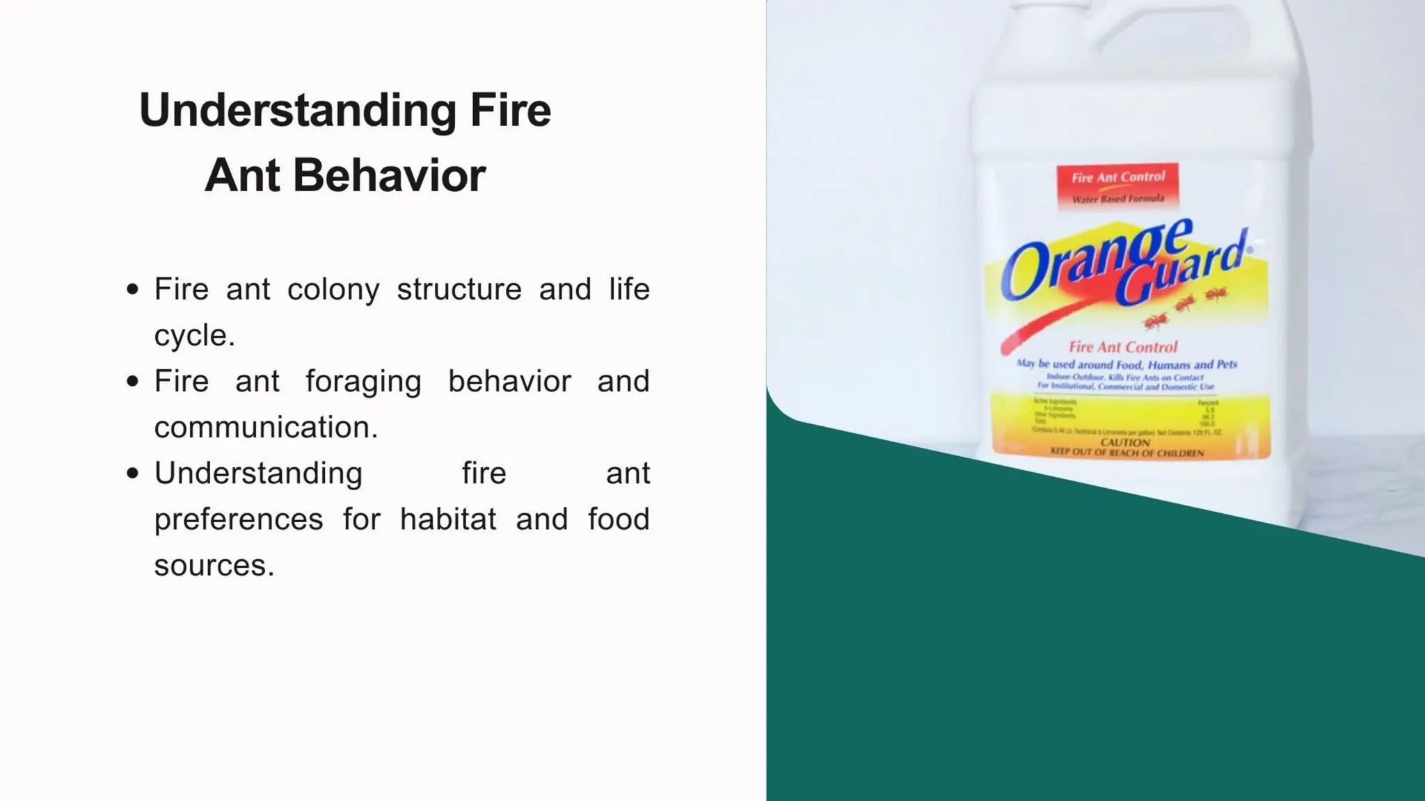Sustainable Fire Ant Control_ A Natural Perspective.ppt
