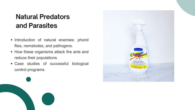 Sustainable Fire Ant Control_ A Natural Perspective.ppt