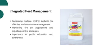 Sustainable Fire Ant Control_ A Natural Perspective.ppt