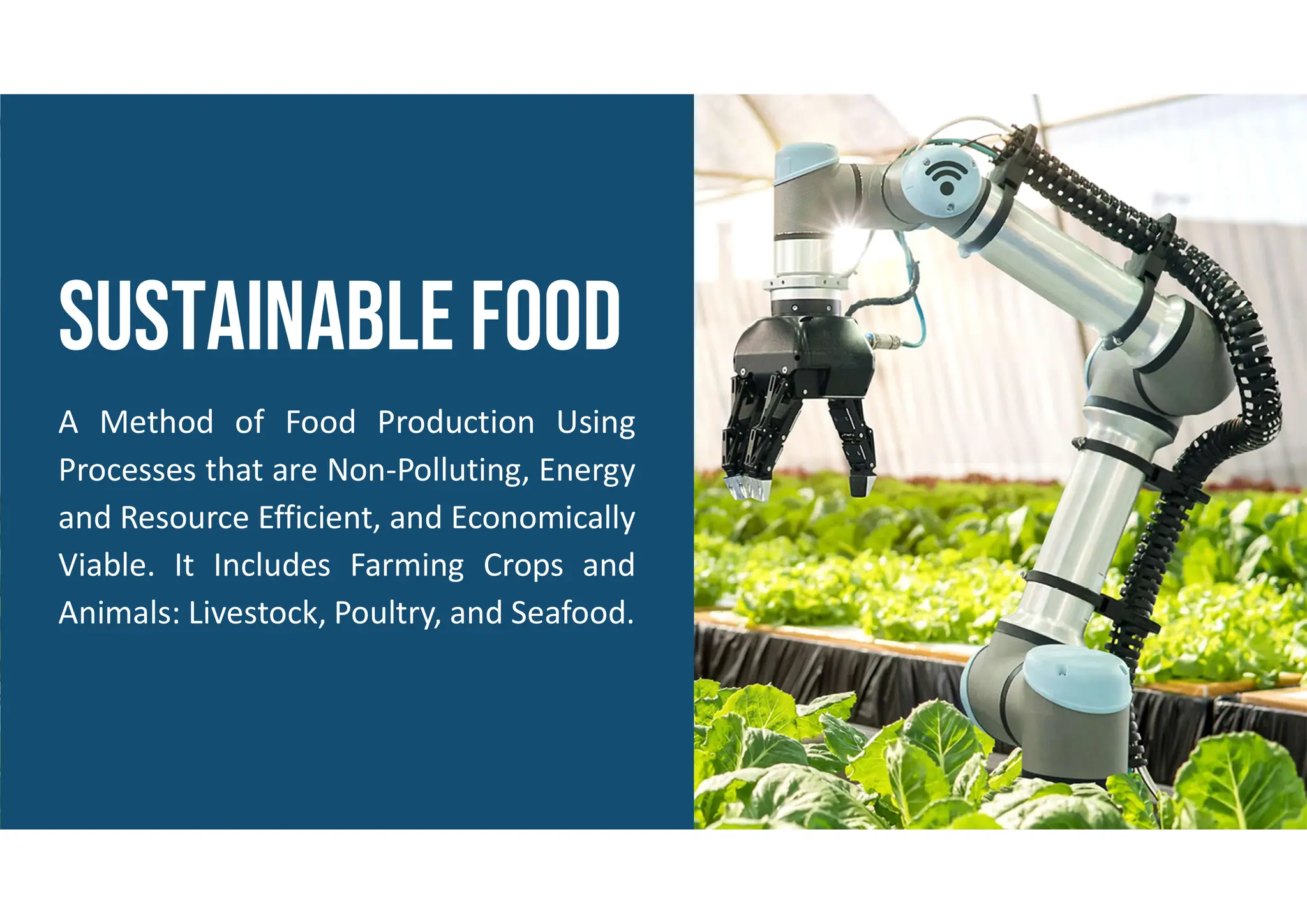 Sustainable Food Production | PDF