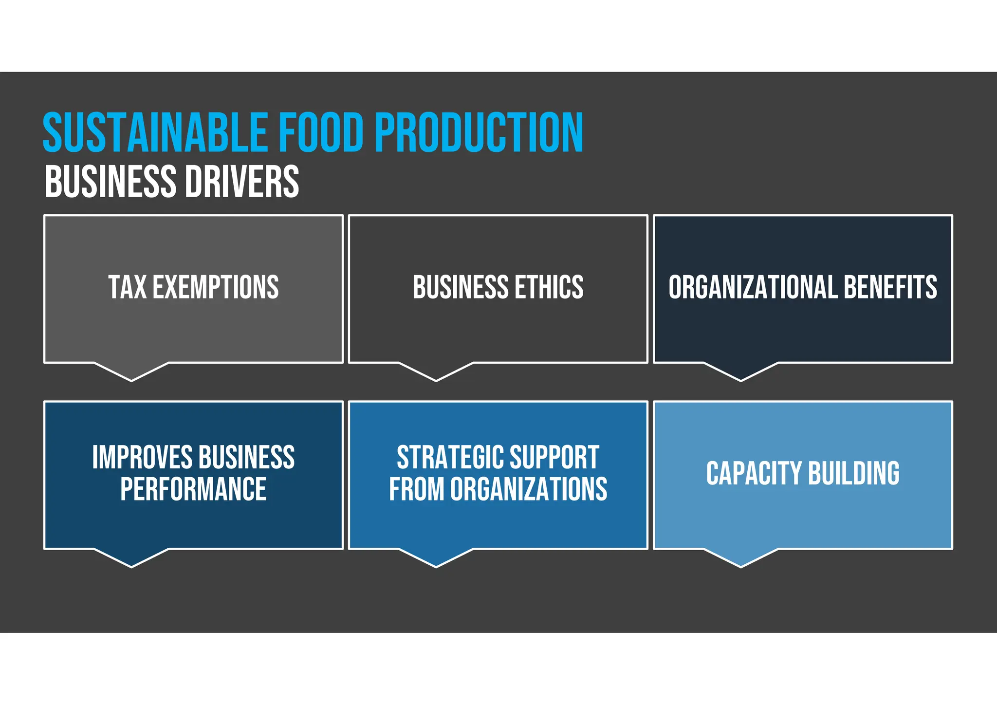 Sustainable Food Production | PDF