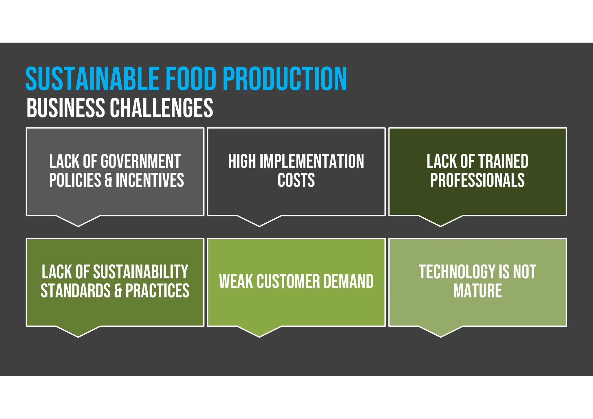 Sustainable Food Production | PDF
