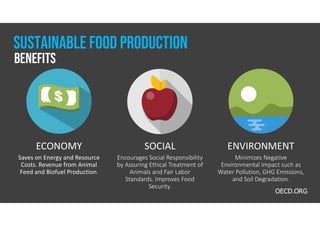 Sustainable Food Production | PDF