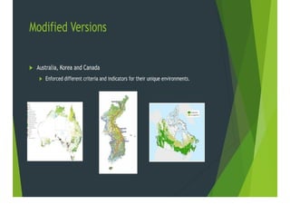 Sustainable Forest Management | PDF