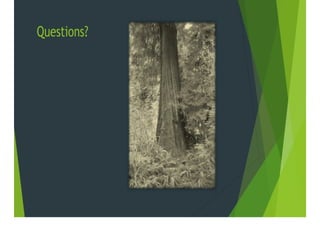 Sustainable Forest Management | PDF