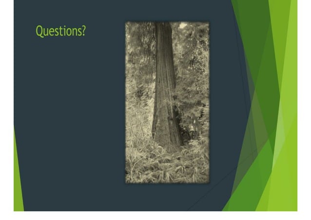 Sustainable Forest Management | PDF