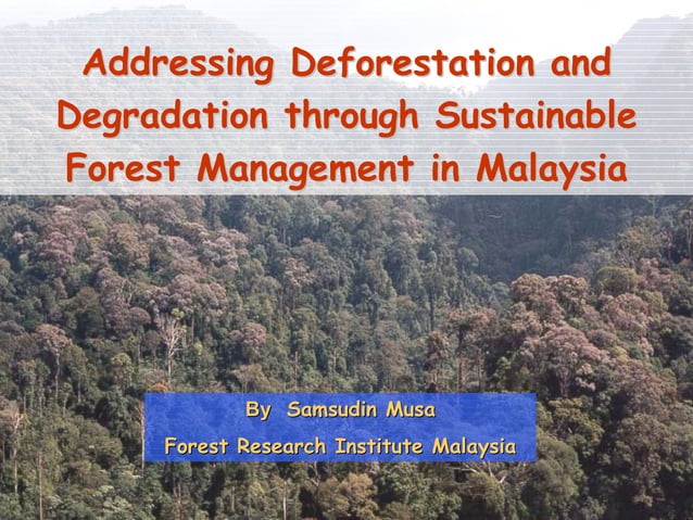 Sustainable Forest Management Malaysia Pdf