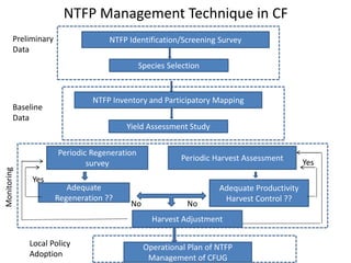 Sustainable harvesting of Non Timber Forest Product in Nepal | PPTX