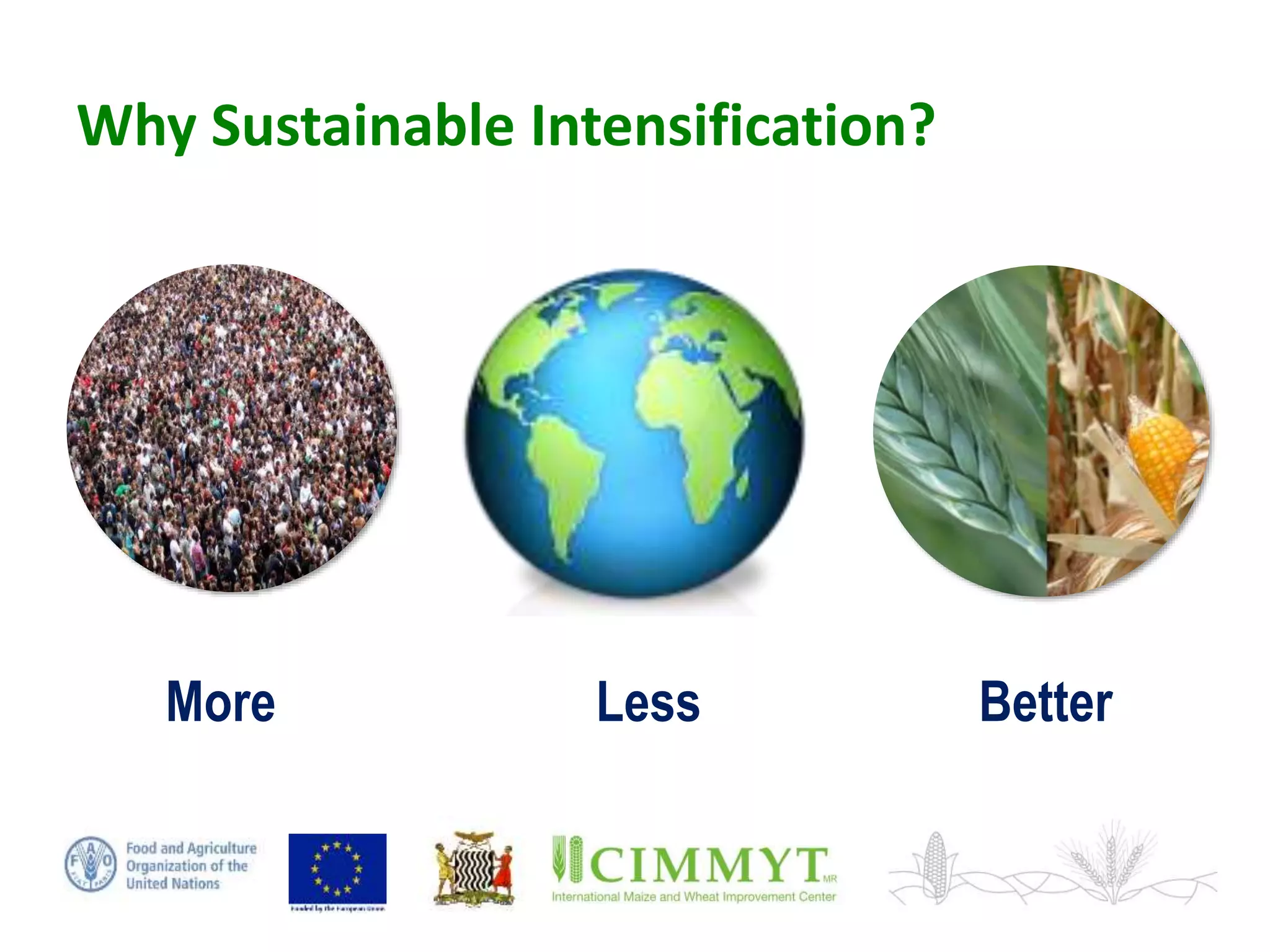Sustainable intensification of smallholder farming systems in zambia | PDF