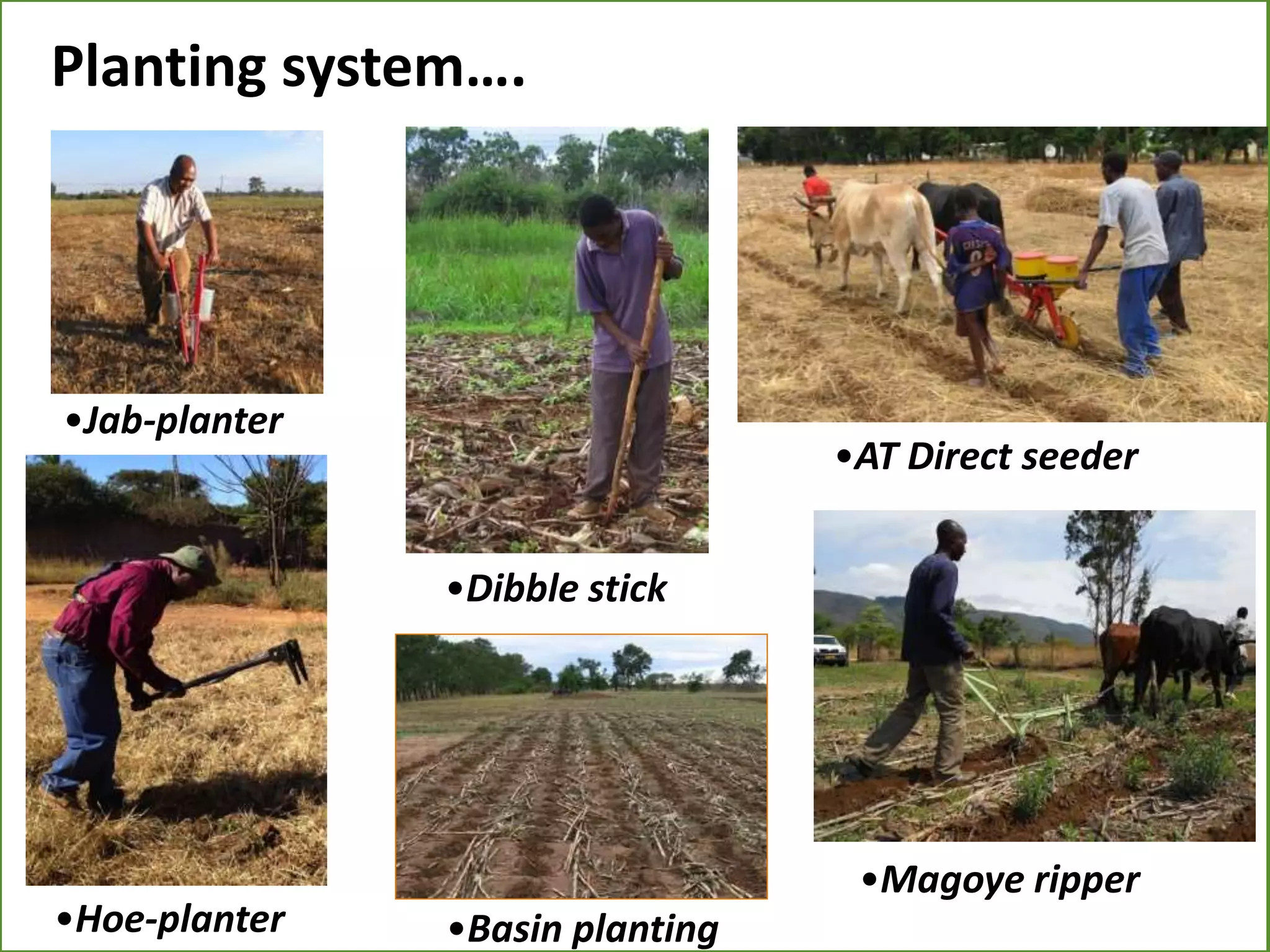 Sustainable intensification of smallholder farming systems in zambia | PDF