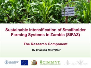 Sustainable intensification of smallholder farming systems in zambia | PDF