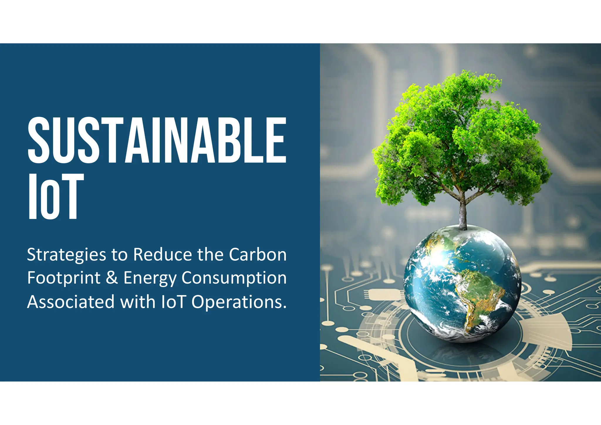 Sustainable IoT | PDF