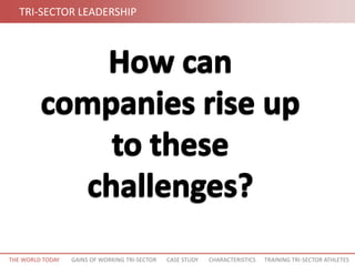 "Tri-sector athlete" – part of a sustainable leadership | PPTX