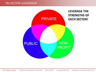 "Tri-sector athlete" – part of a sustainable leadership | PPTX