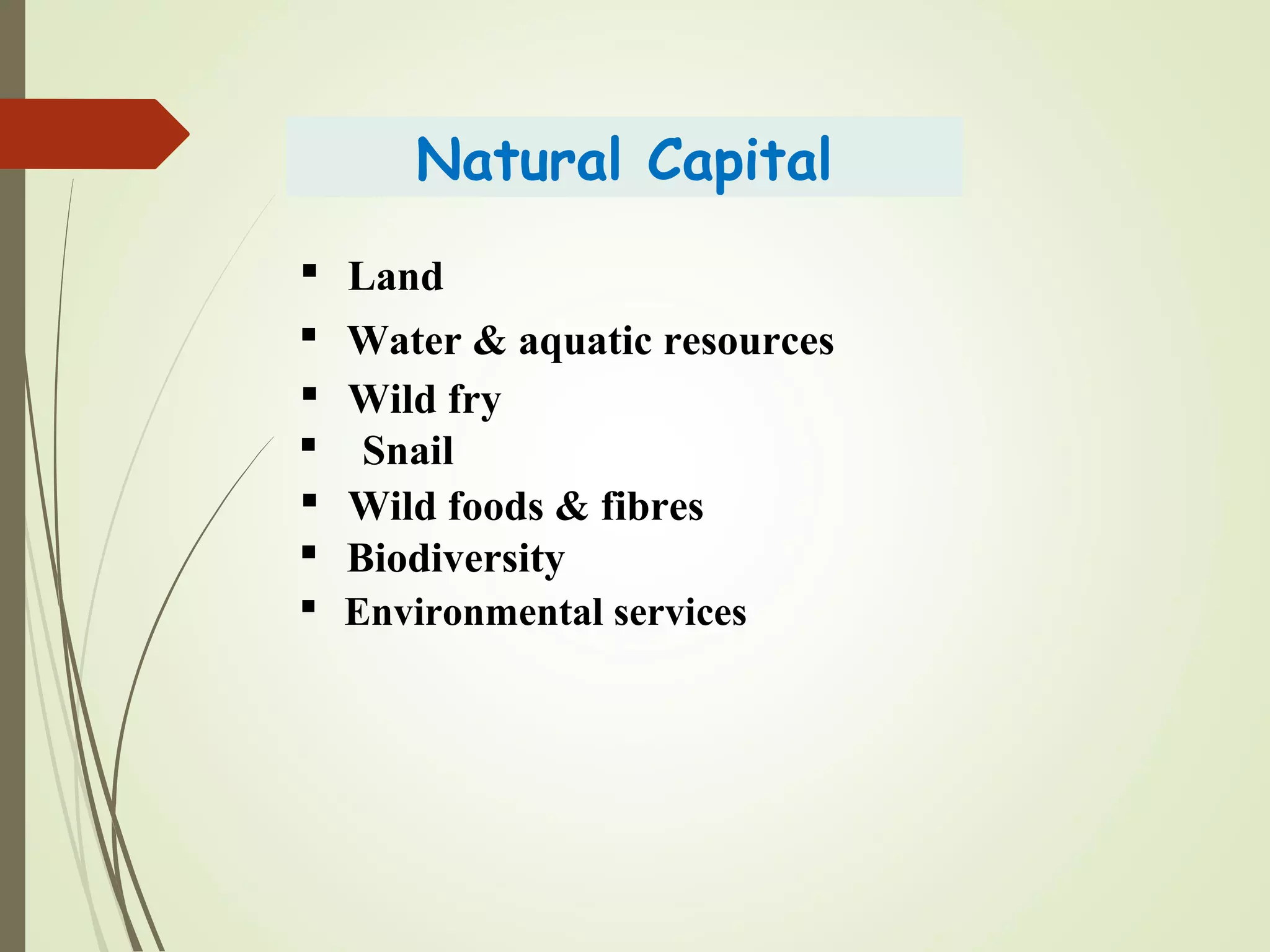 Sustainable Livelihood Approach | PPT
