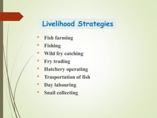 Sustainable Livelihood Approach | PPT