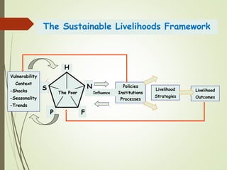 Sustainable Livelihood Approach | PPT