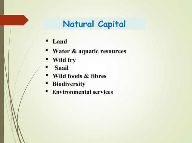 Sustainable Livelihood Approach | PPT | Agriculture | Industries