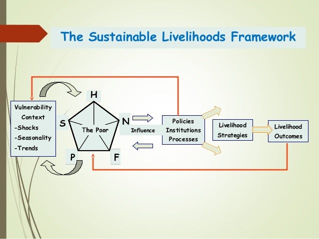 Sustainable Livelihood Approach