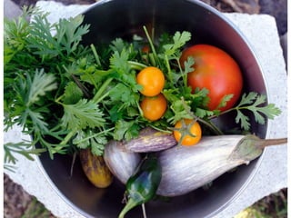 Sustainable living | PPT