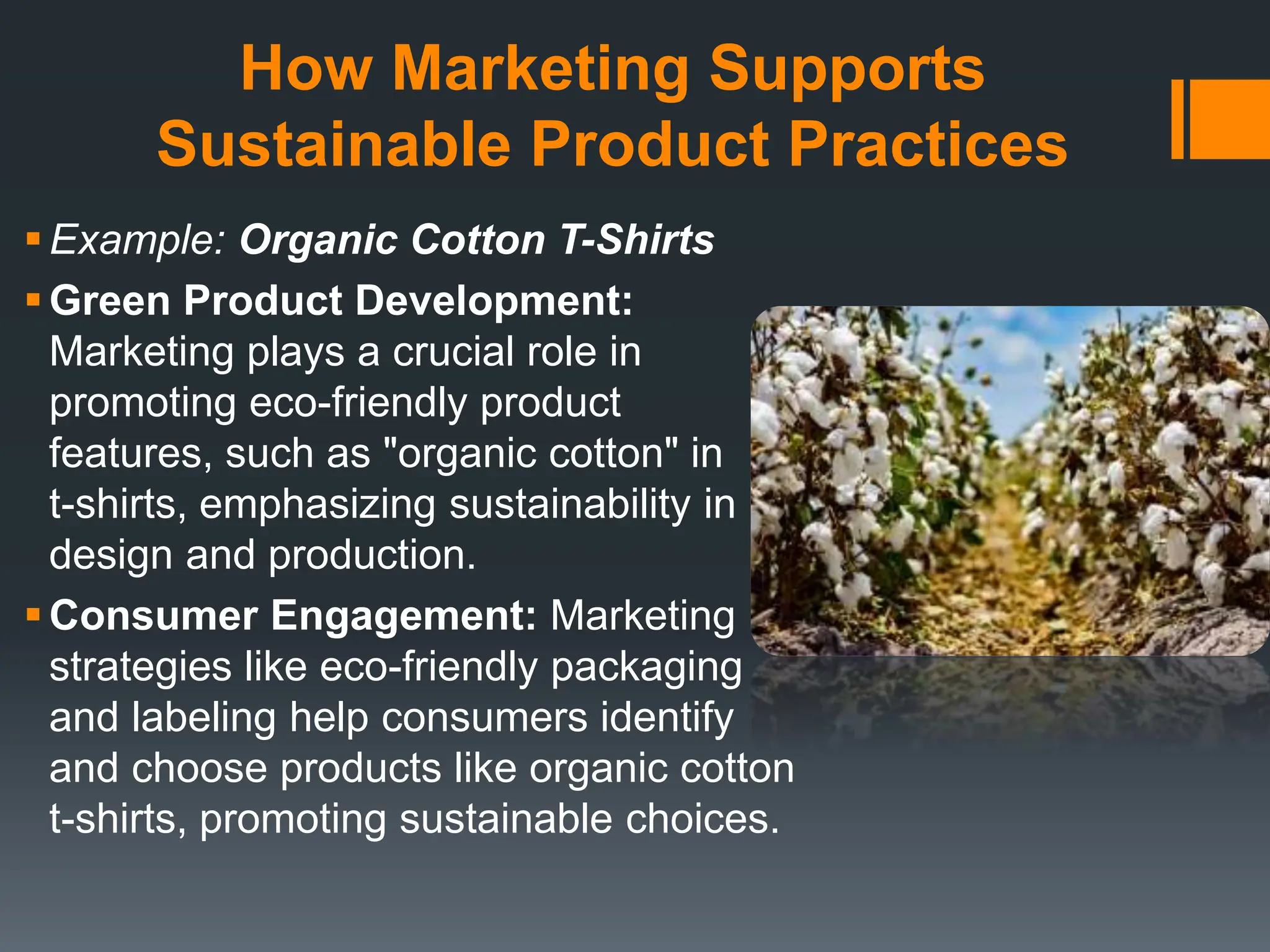 Sustainable Marketing Principles and Leverage.pptx