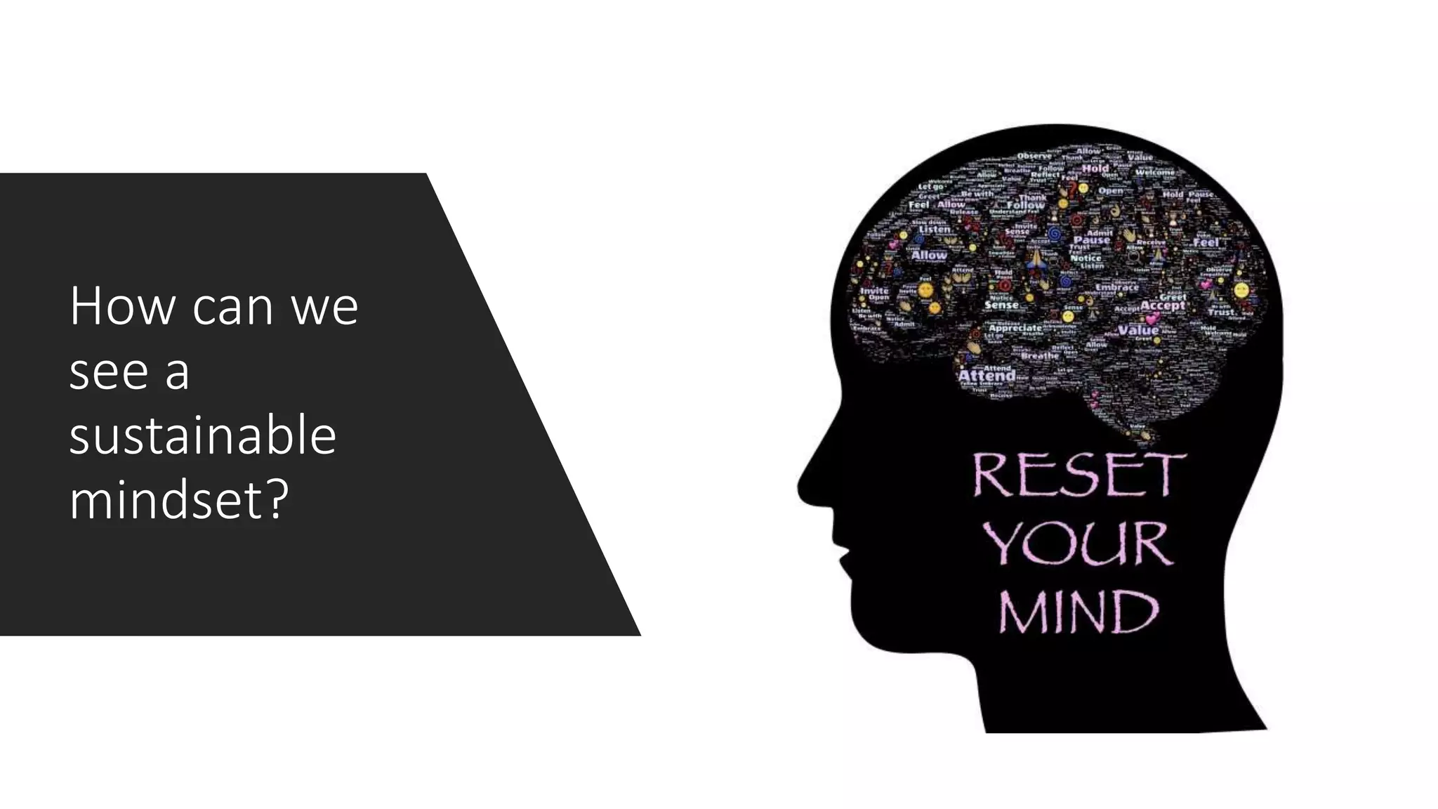 Sustainable mindset | PPTX