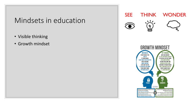 Sustainable mindset | PPTX