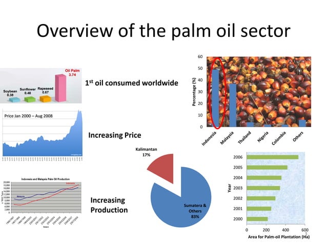 Sustainable Palm Oil | PDF