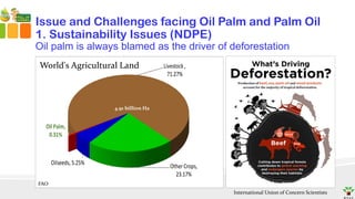 SUSTAINABLE PALM OIL and THE INDUSTRY ASPECTS.pdf