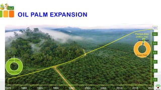 SUSTAINABLE PALM OIL and THE INDUSTRY ASPECTS.pdf