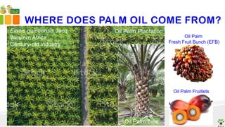 SUSTAINABLE PALM OIL and THE INDUSTRY ASPECTS.pdf