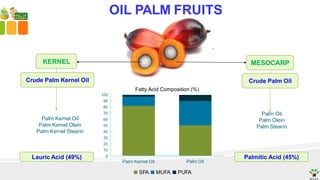 SUSTAINABLE PALM OIL and THE INDUSTRY ASPECTS.pdf