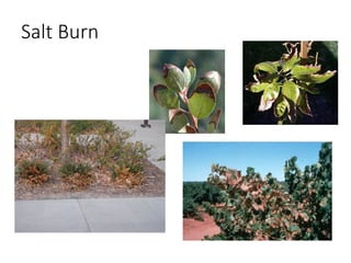 Sustainable Pest Management | PDF