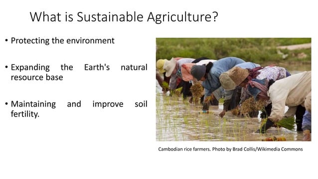 Sustainable Agriculture Pros & Cons | PPT