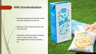 Sustainable Product Presentation | PPTX