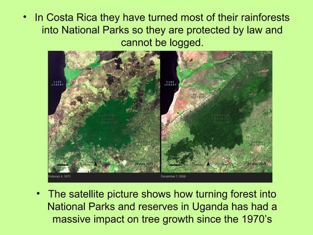 Sustainable rainforest management | PPT