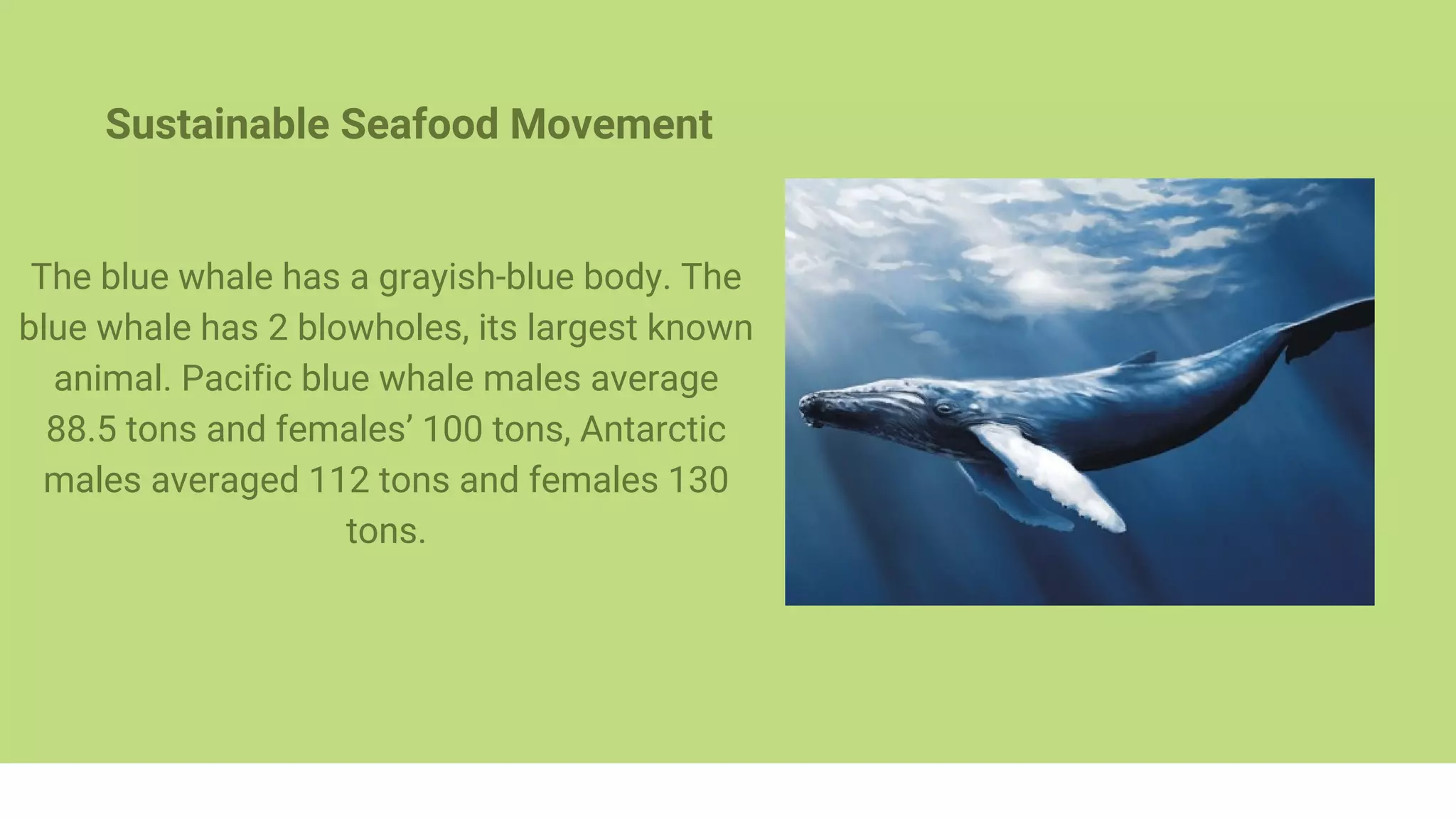 Save the Whales-Engaged Species. | PPT