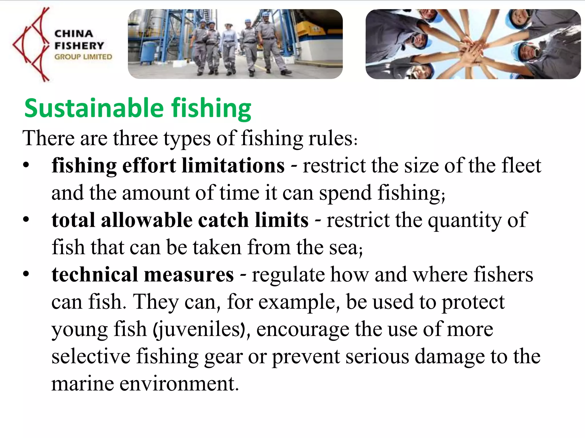 Sustainable seafood production and processing | PPTX