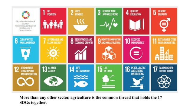 sustainable Development, SDGs lecture note | PPTX | Agriculture | Industries