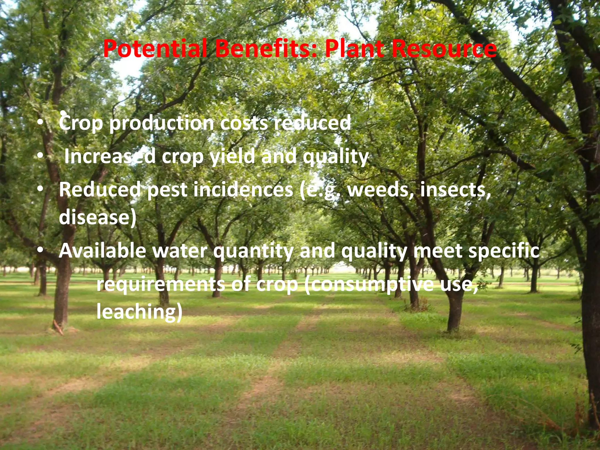 Sustainable Soil Systems | PPTX