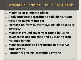 Sustainable Soil Systems | PPTX