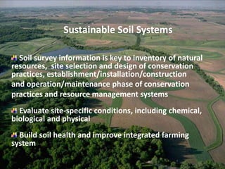 Sustainable Soil Systems | PPTX