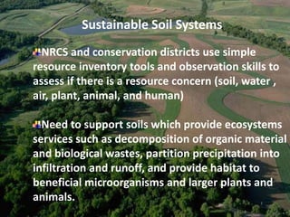 Sustainable Soil Systems | PPTX