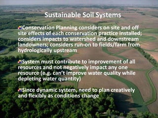 Sustainable Soil Systems | PPTX