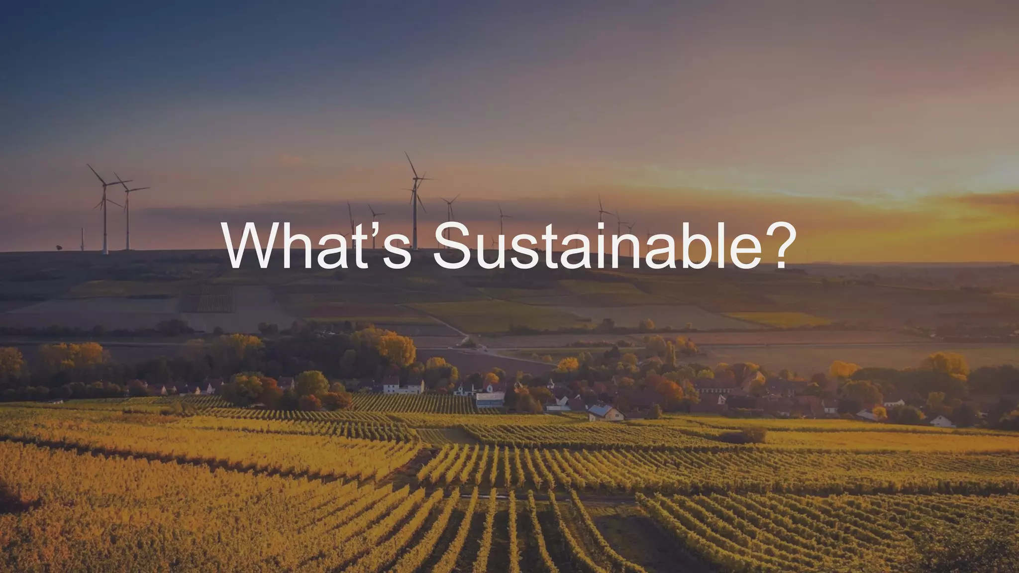 Sustainable tourism introduction to sustainable tourism | PPTX
